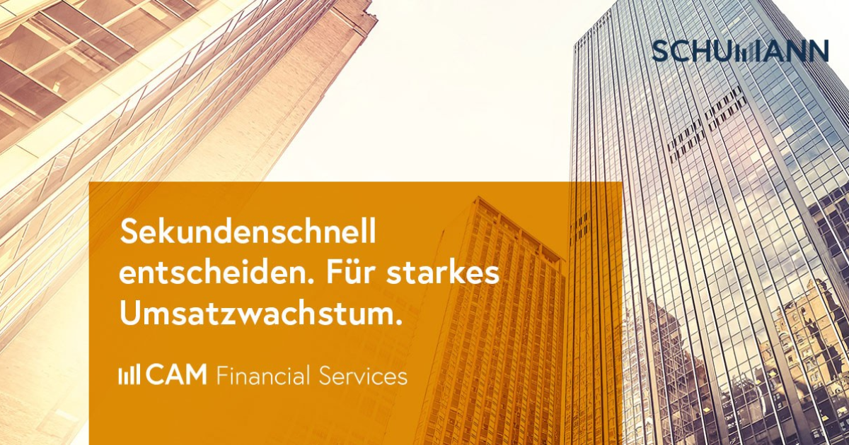 Credit Risk Management Software | SCHUMANN